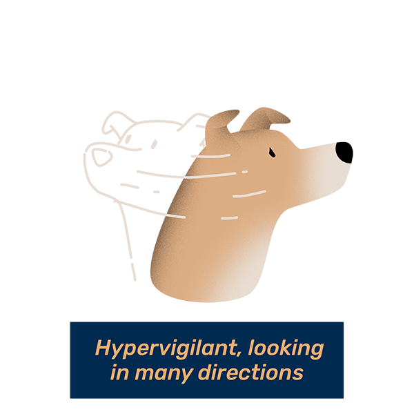 Common signs of noise anxiety in dogs