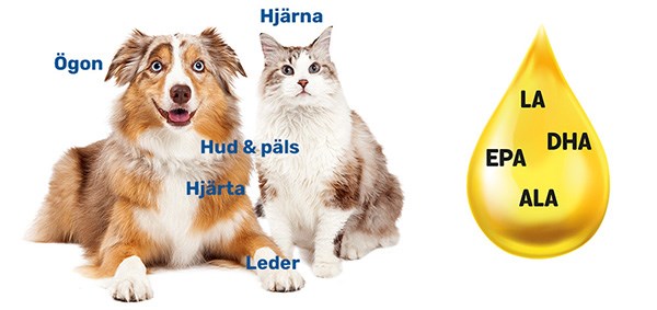 Aptus® Omega™ | Sverige